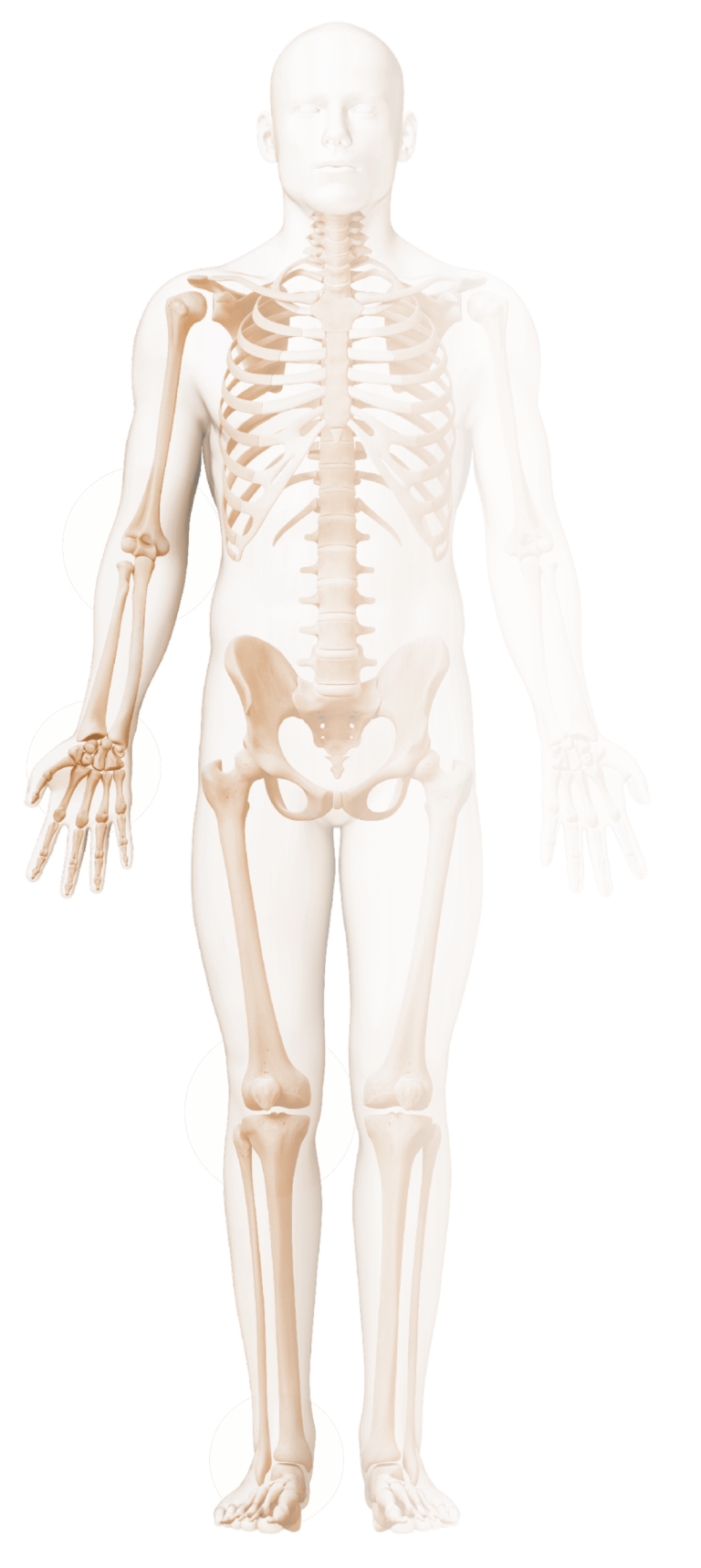 Artritis Reumatoide e Idiopática juvenil – Comprolab