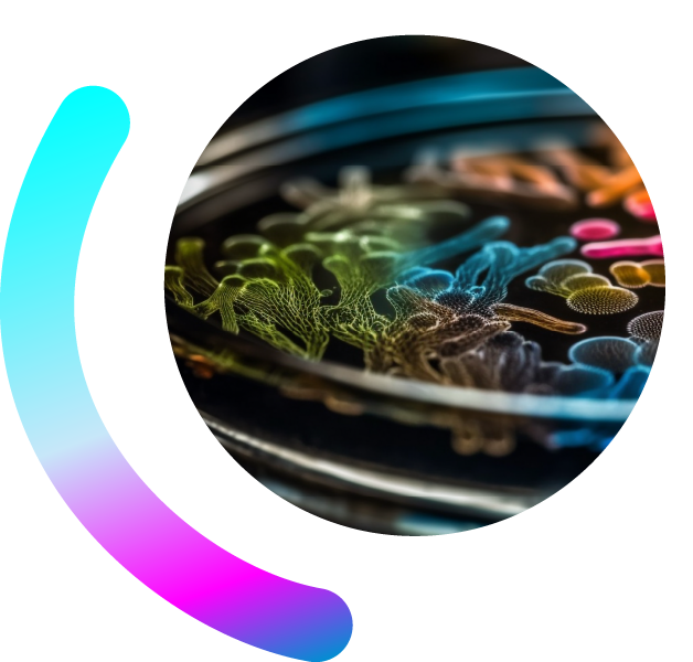 Inicio – Comprolab